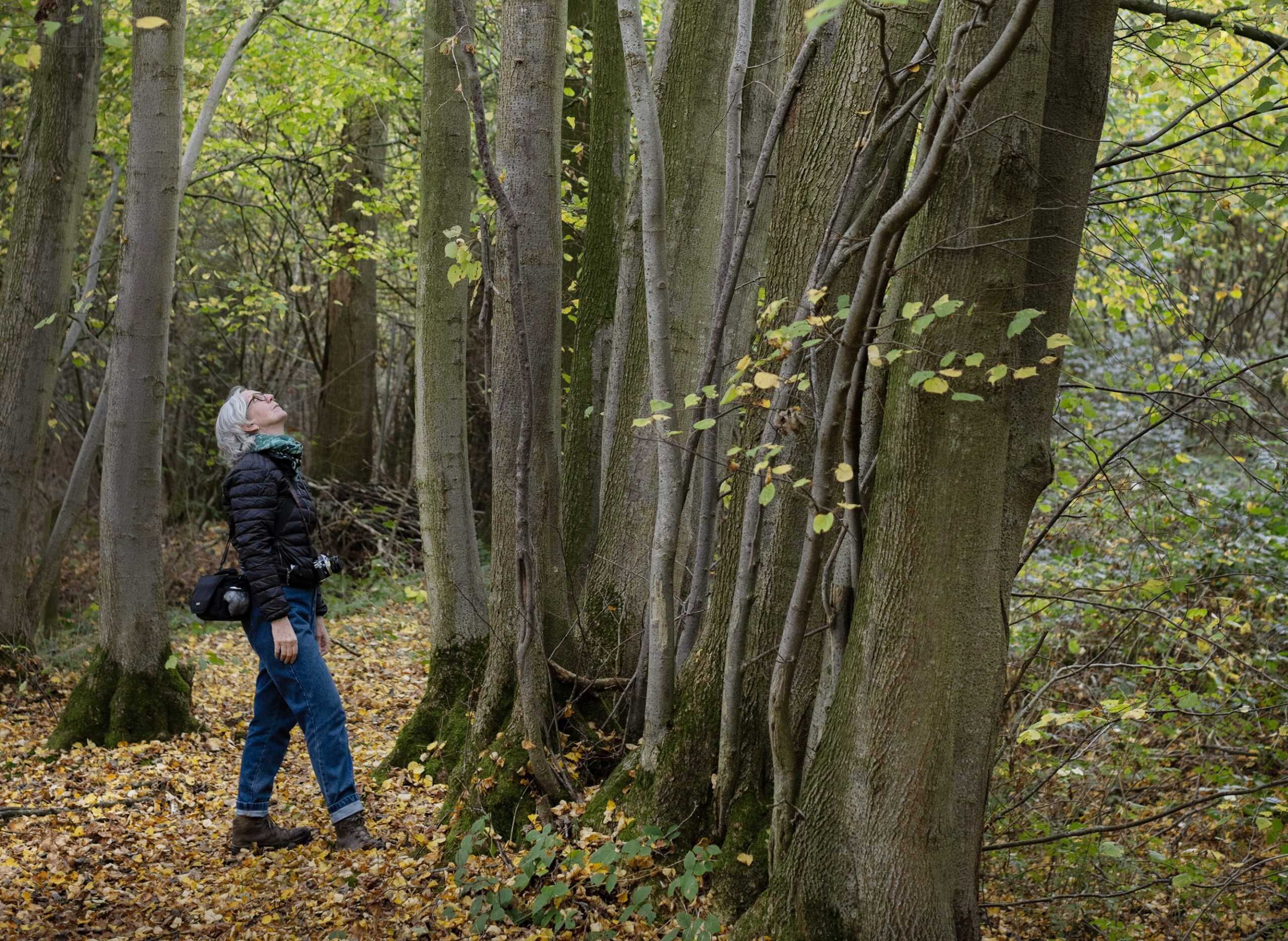Nature Photography with Richard Allenby-Pratt - Afternoon session ...